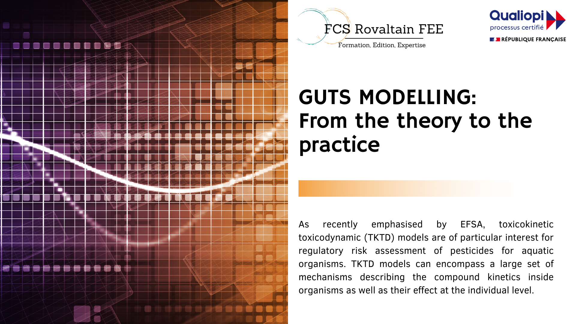 Training course on GUTS Modelling : From the Theory to the Practice ...