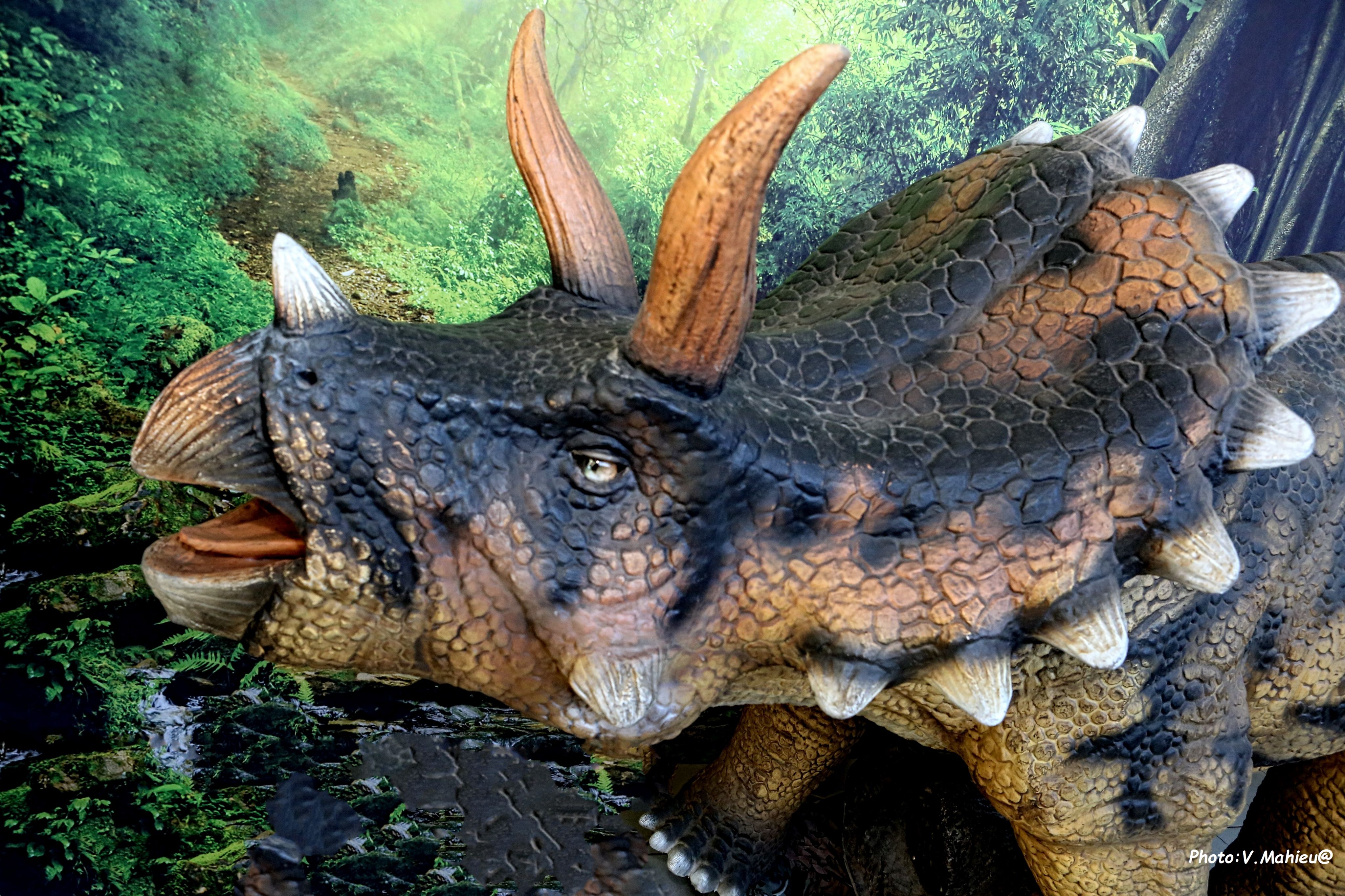 Exposition de dinosaures • Dinosaurs World à Lyon-Bron | Placeminute